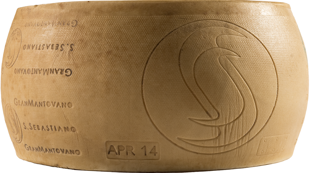 Gran Mantovano cheese from Mantua - Latteria Sociale Mantova